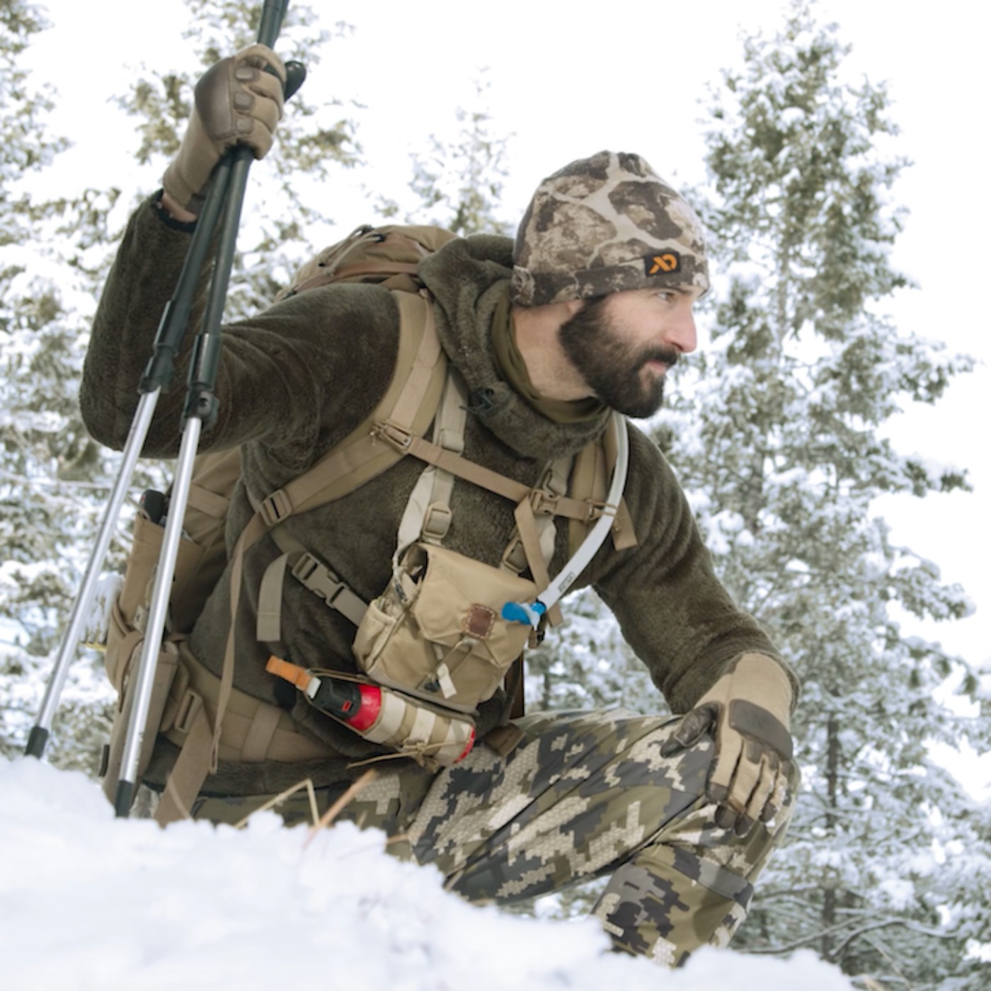 Connecting with the Natural World through Mountain Lion Tracking ...