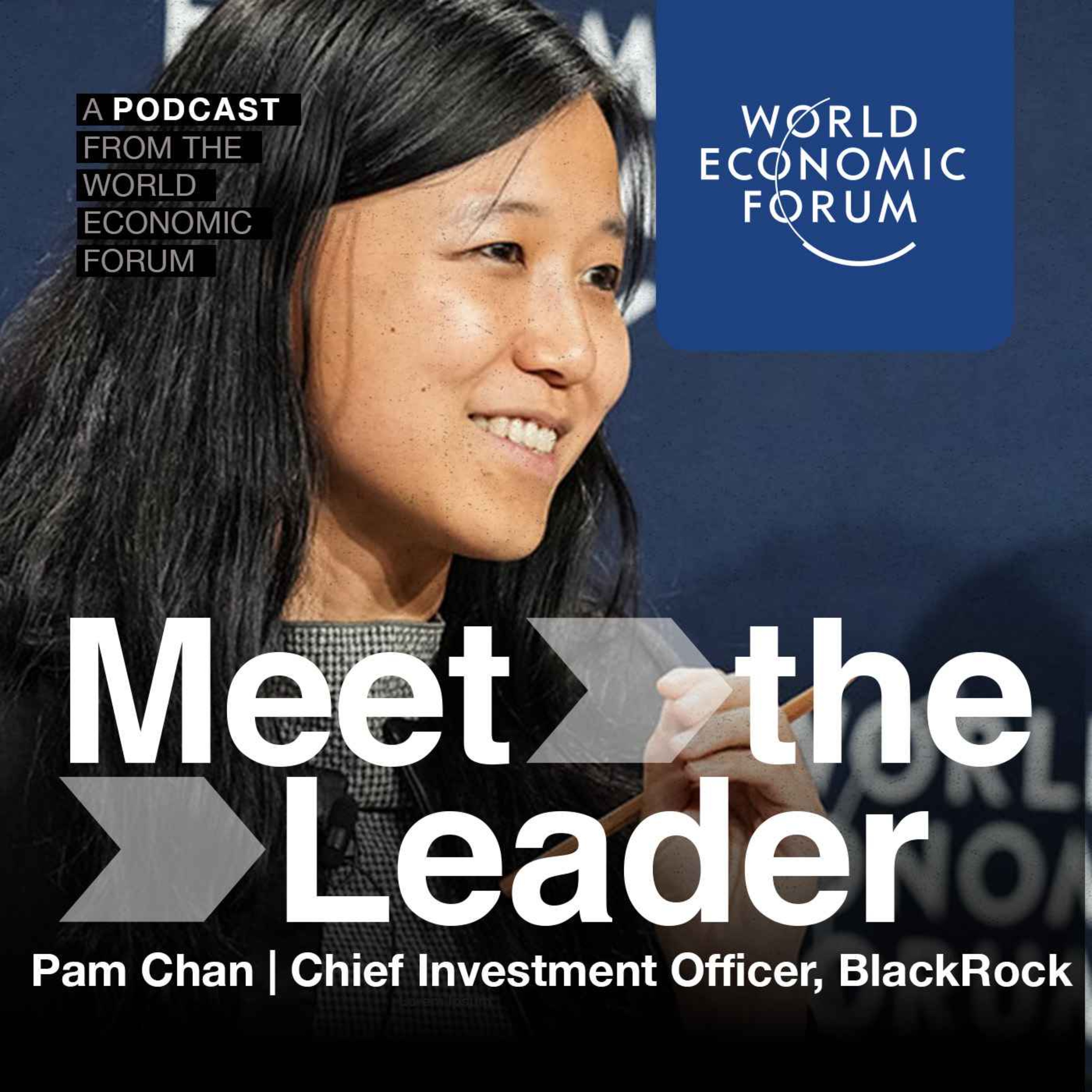 BlackRock's Pam Chan on ESG and how successful future leaders will ...