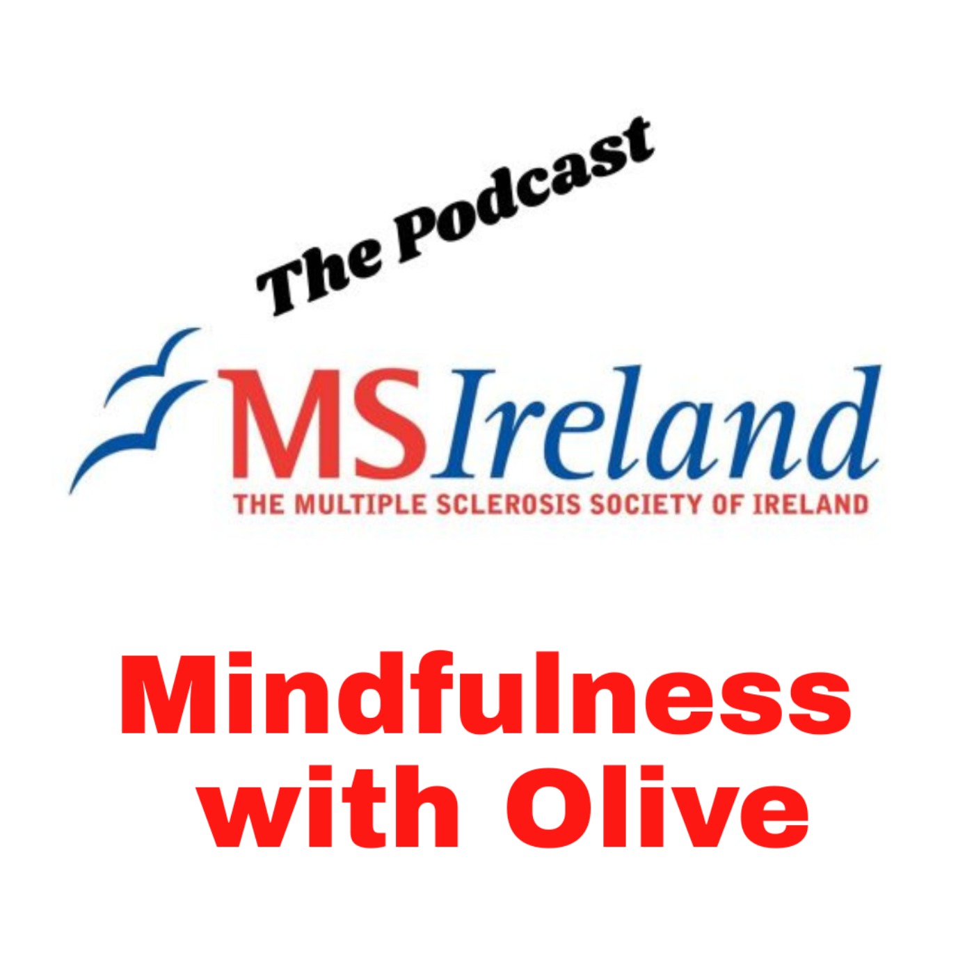Ms Ireland Logo