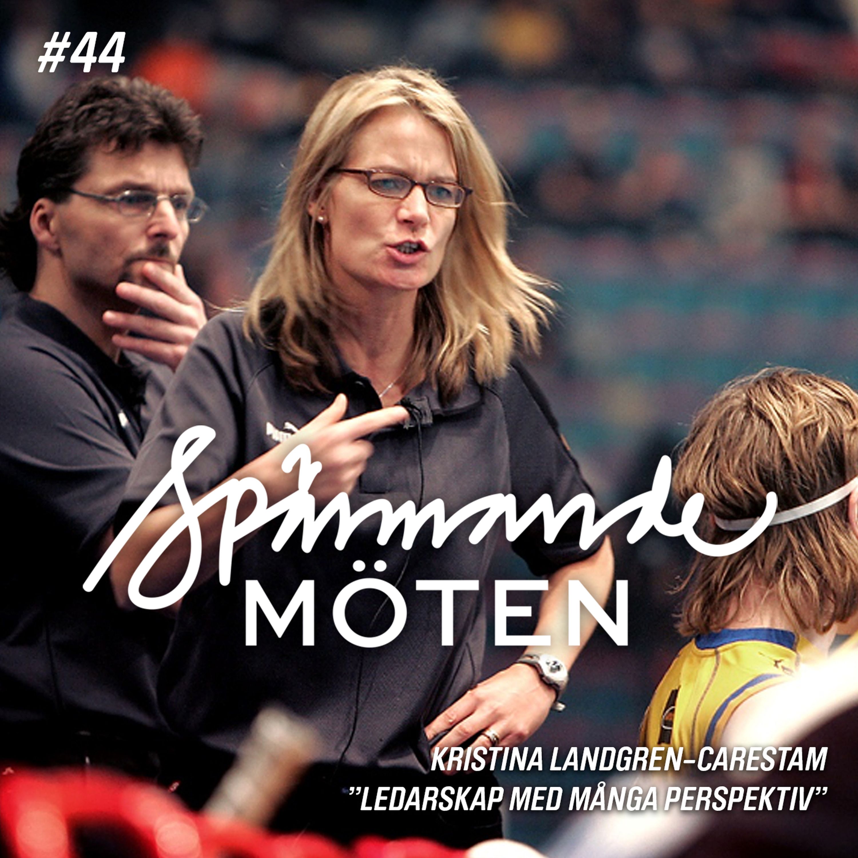 Kristina Landgren-Carestam, "Ledarskap med många perspektiv ...