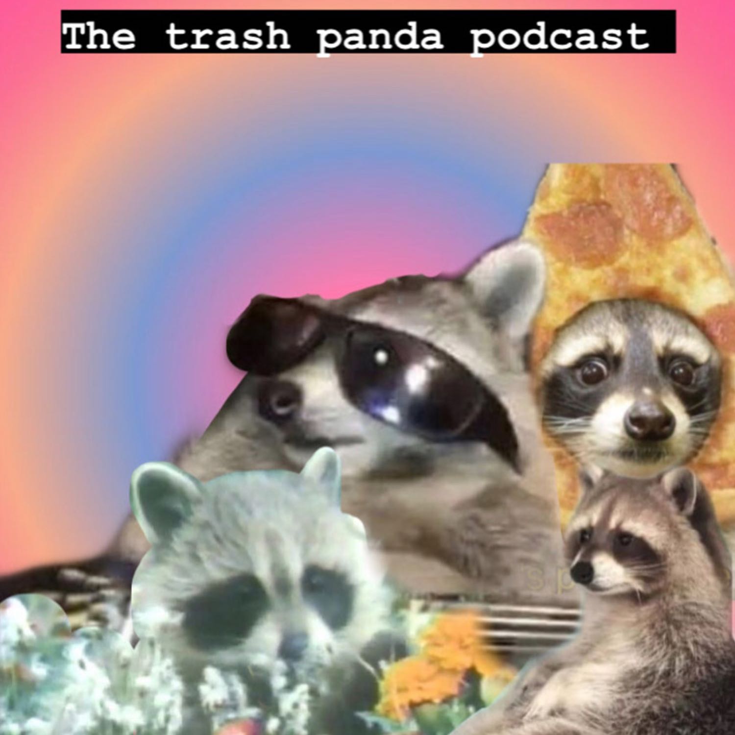 The trash panda podcast - Hosted by thetrashpandapodcast