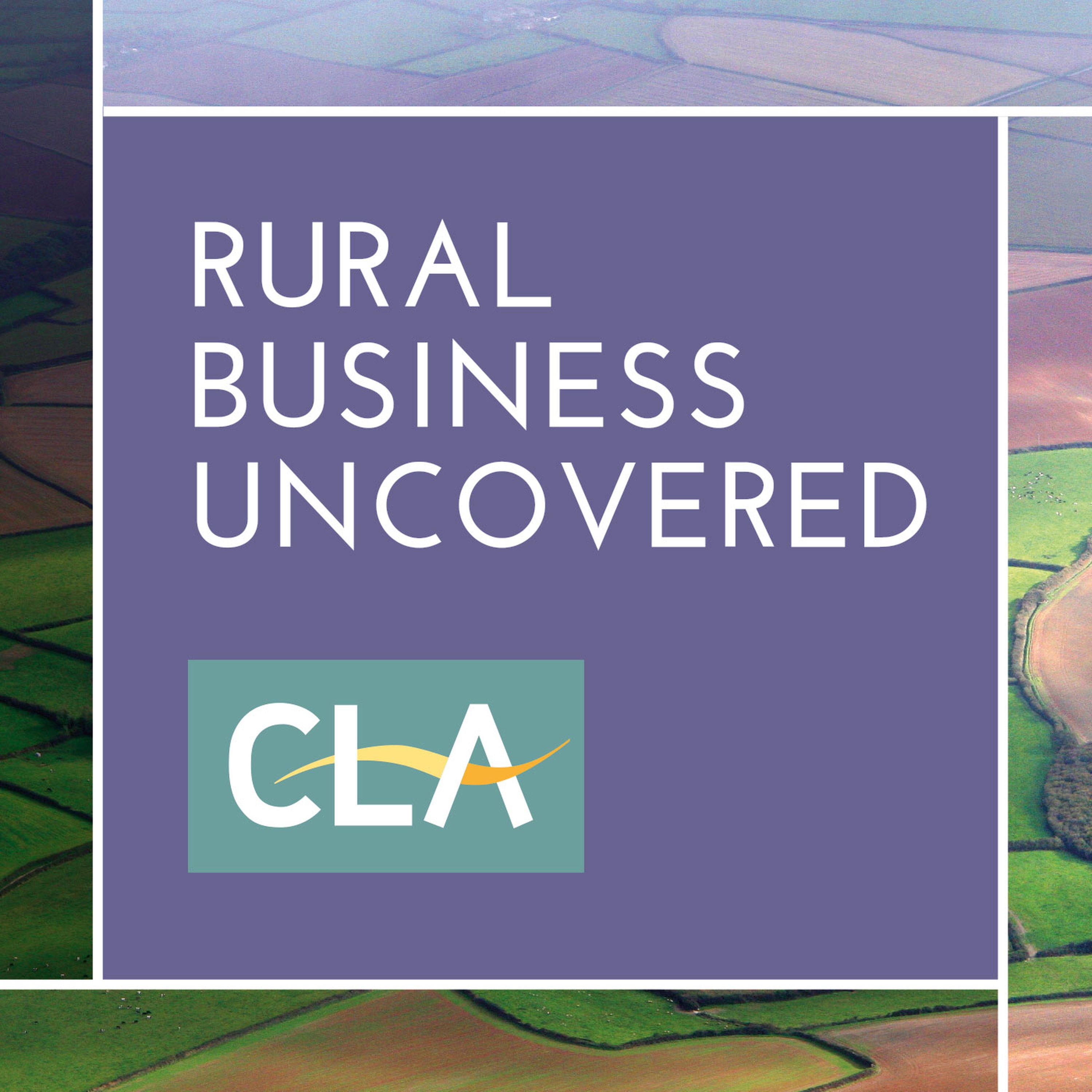 Farm Diversification Uncovered: Penllyn Estate Farm, Wales - CLA Rural ...