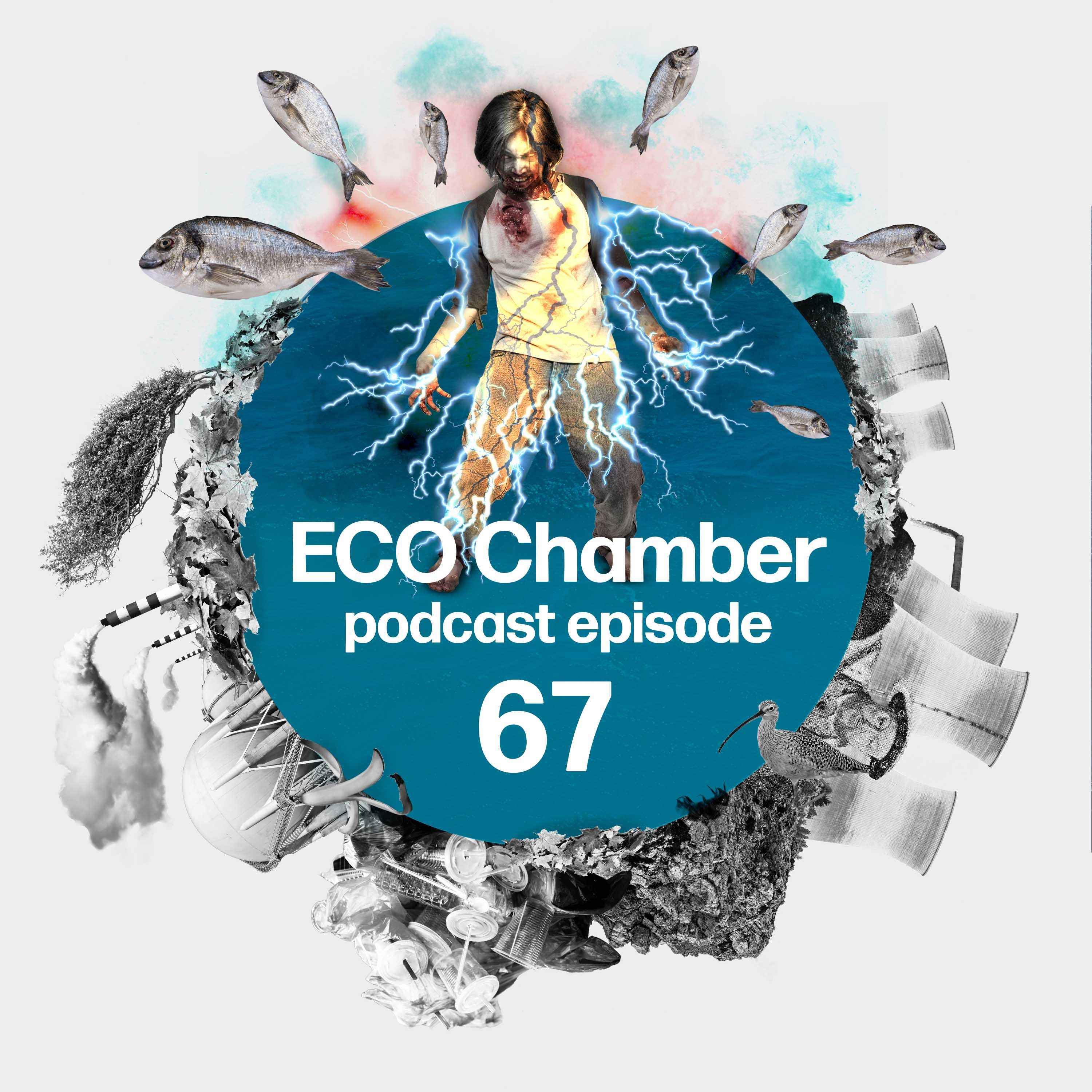 Fish justice, zombie power project purge PLUS Plantlife on net gain and ...