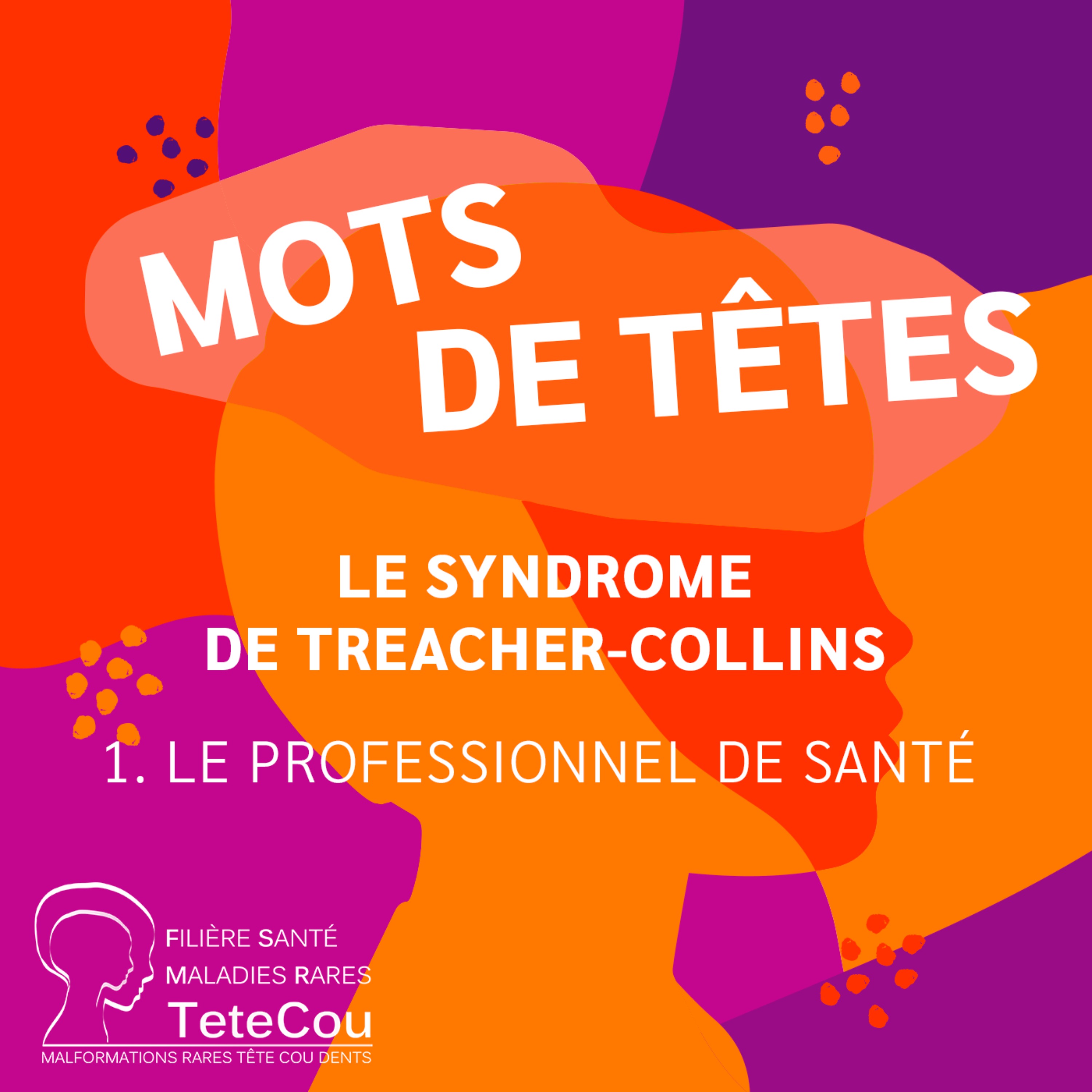 Le syndrome de Treacher-Collins – EP1: Le professionnel de santé ...