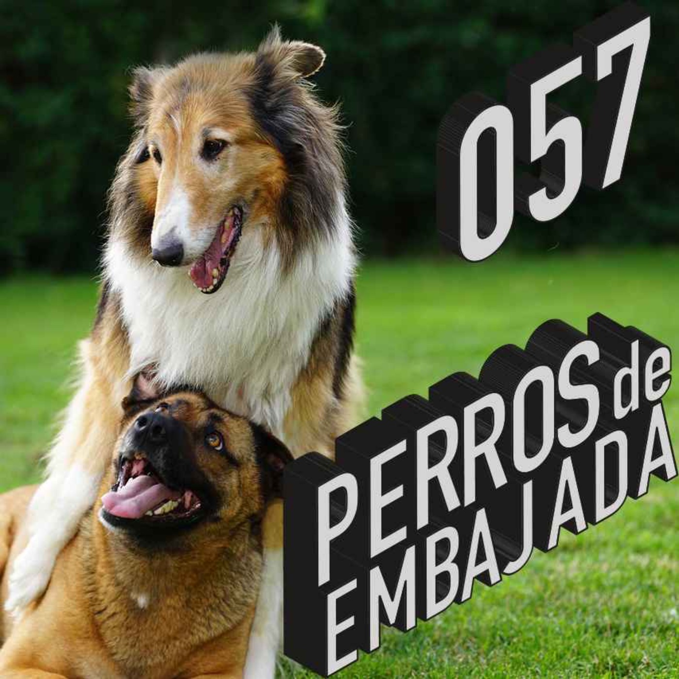 057 Bukele se reelige! Texas se pelea con gobierno federal! Aprueban ...