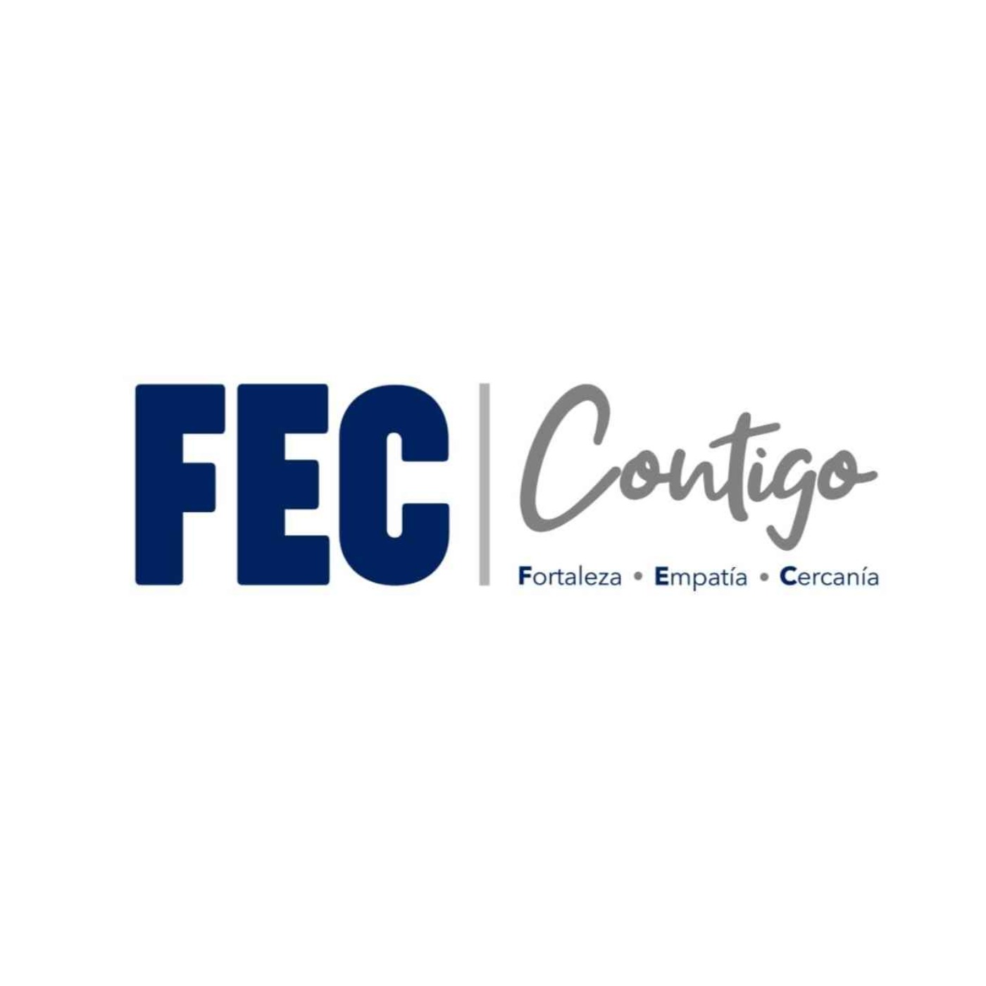Aniversario de la FEC* y actividades y retos para el 2024 ...
