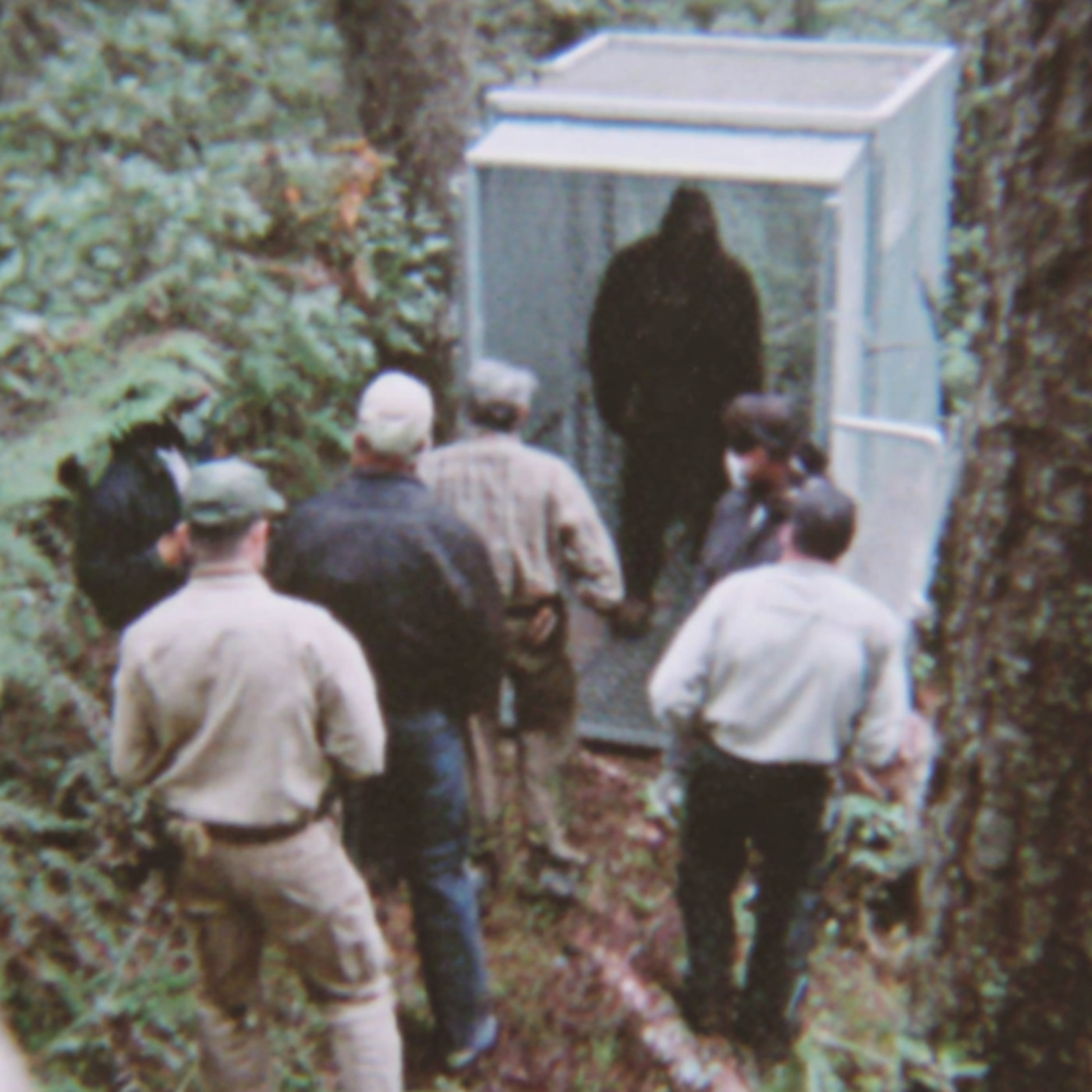 Old Hillbilly Horror (True Horror Stories Podcast) - Podcast Analytics & Insights - Podscan.fm