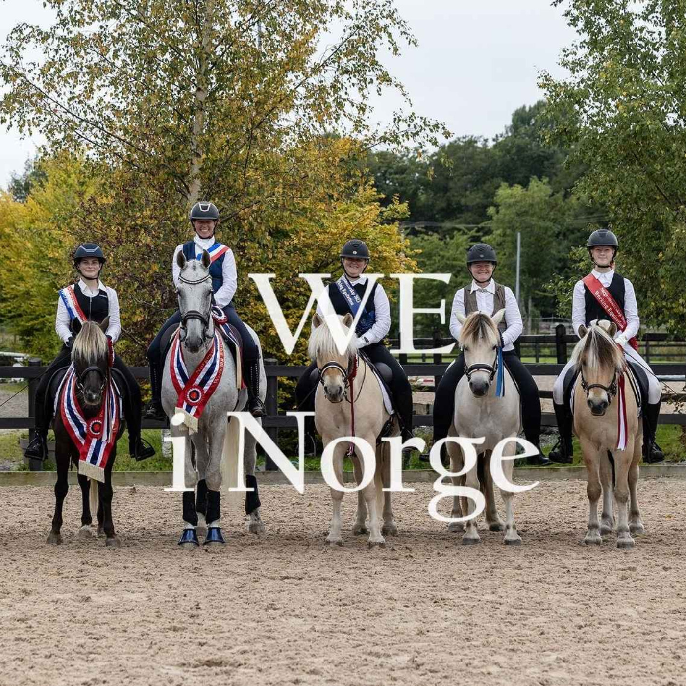 Hvem er vi? - WE i Norge | Acast