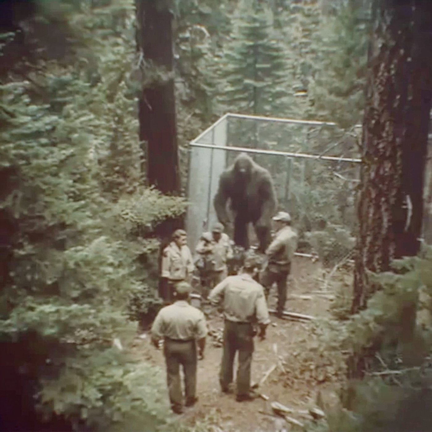 Nightmare Veil (Navy SEAL & Military Horror Stories) Podcast - 18 TRUE ...